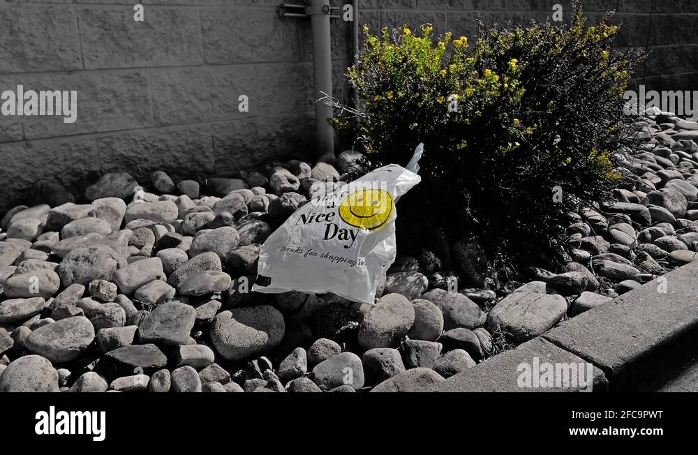 Litter color Stock Videos & Footage - HD and 4K Video Clips - Alamy