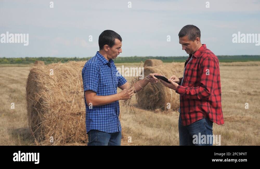 teamwork agriculture smart farming concept. two men farmers workers ...