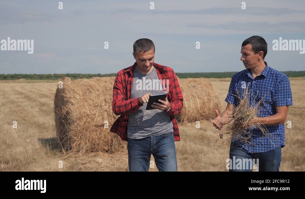 teamwork agriculture smart farming concept. two men farmers workers ...