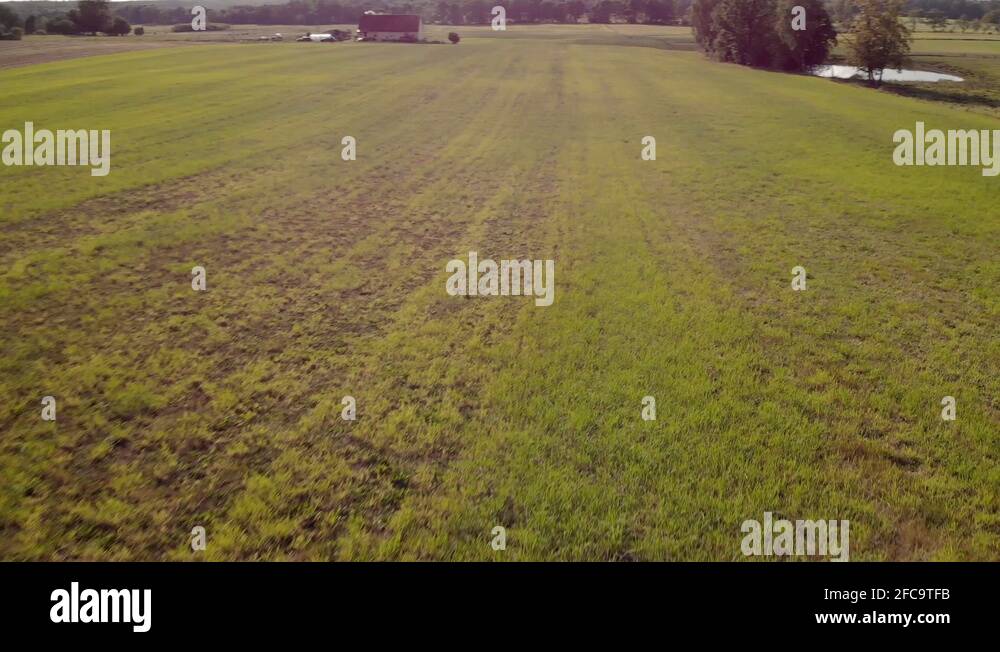 Turf growing land Stock Videos & Footage - HD and 4K Video Clips - Alamy
