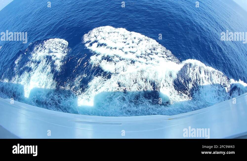 Ocean fish eye Stock Videos & Footage - HD and 4K Video Clips - Alamy