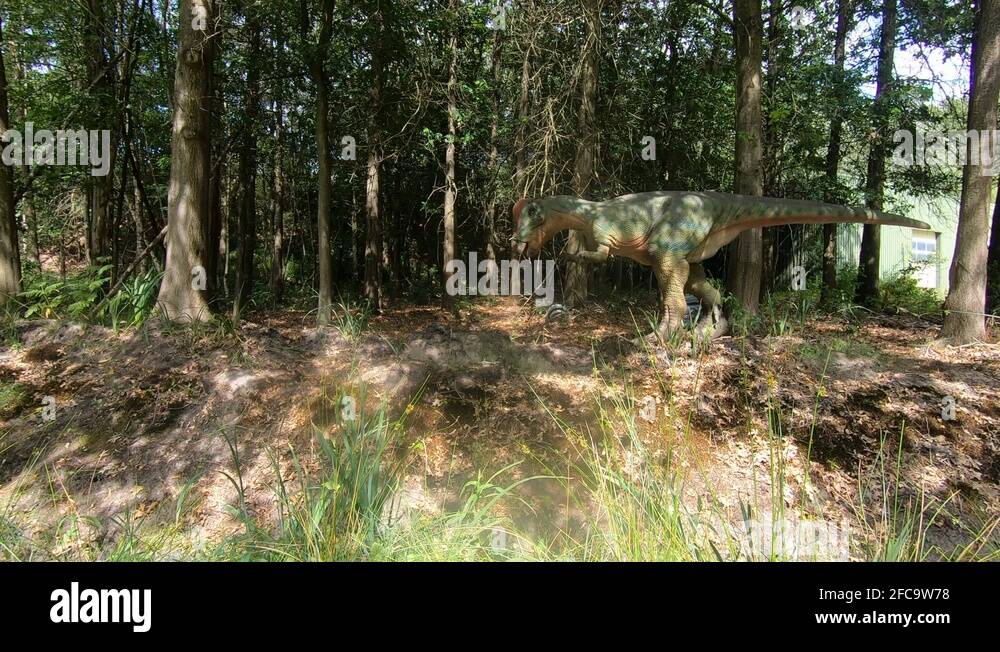 Pachycephalosaurus dinosaur Stock Videos & Footage - HD and 4K Video ...