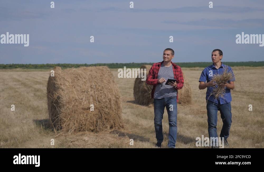 teamwork agriculture smart farming concept. two men farmers workers ...