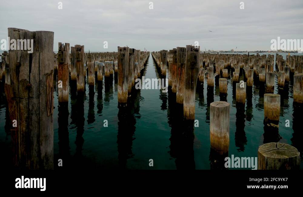 Timber pilled pier Stock Videos & Footage - HD and 4K Video Clips - Alamy