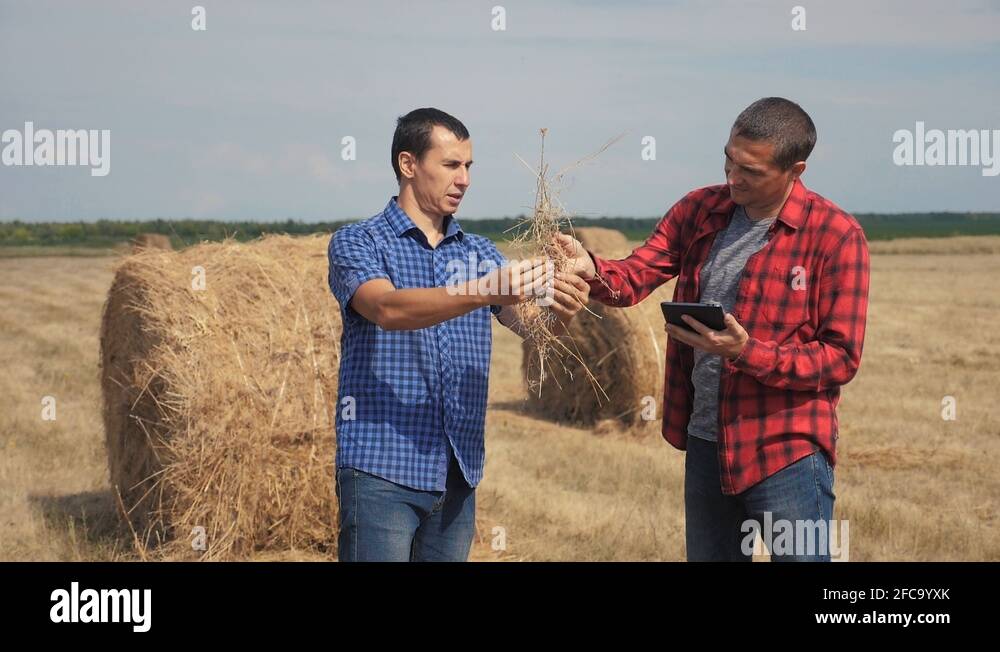teamwork agriculture smart farming lifestyle concept. two men farmers ...