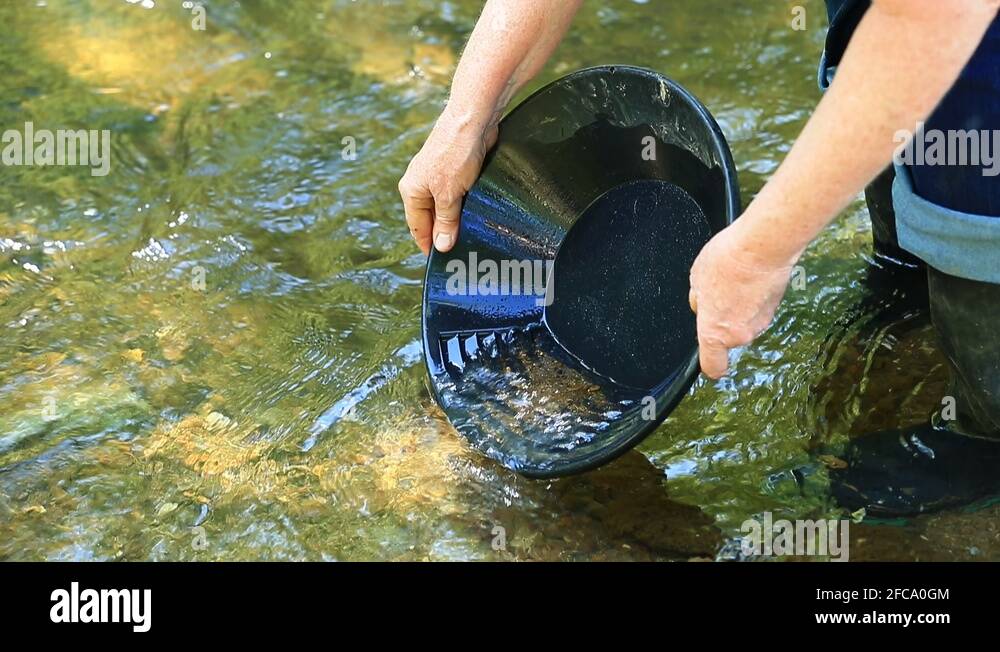 Gold digger woman Stock Videos & Footage - HD and 4K Video Clips - Alamy