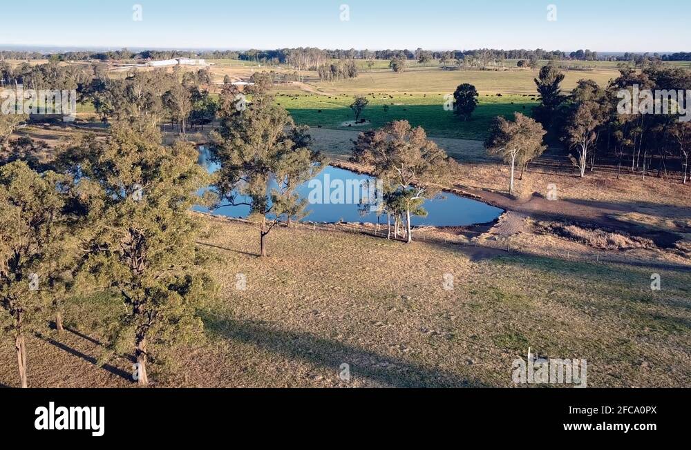 Australian dairy farm Stock Videos & Footage - HD and 4K Video Clips ...