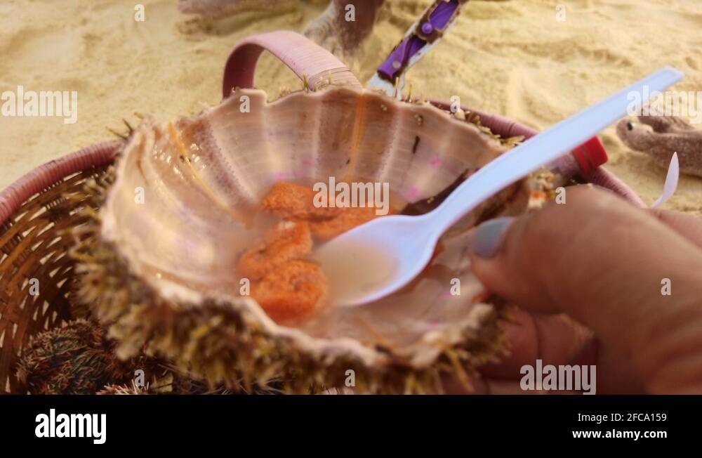 Cut open shell Stock Videos & Footage - HD and 4K Video Clips - Alamy