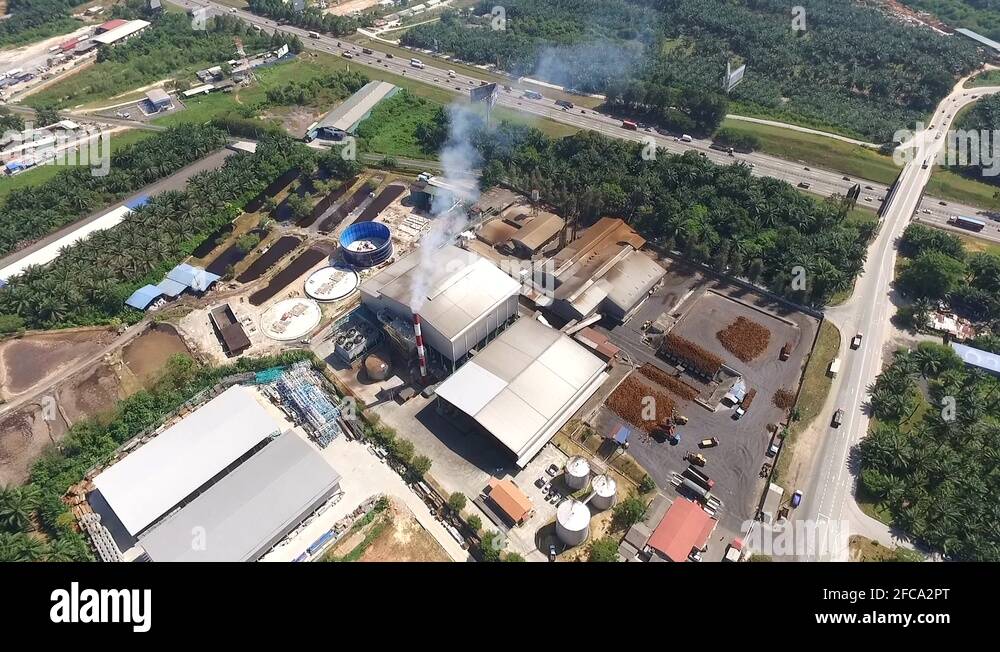 Aerial - Malaysia's Palm Oil Factory (Kilang Kelapa Sawit Stock Video ...