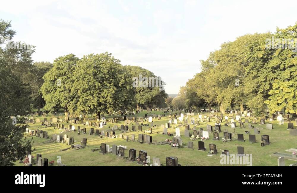 Tree plots Stock Videos & Footage - HD and 4K Video Clips - Alamy