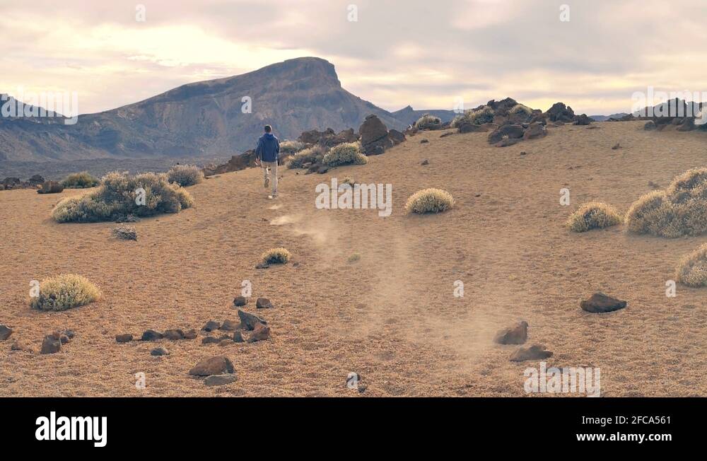 Footstep leaves Stock Videos & Footage - HD and 4K Video Clips - Alamy