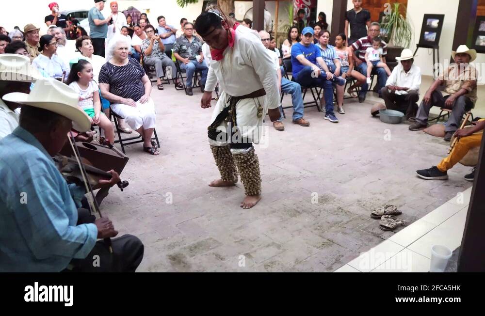 Indigenous culture center Stock Videos & Footage - HD and 4K Video ...