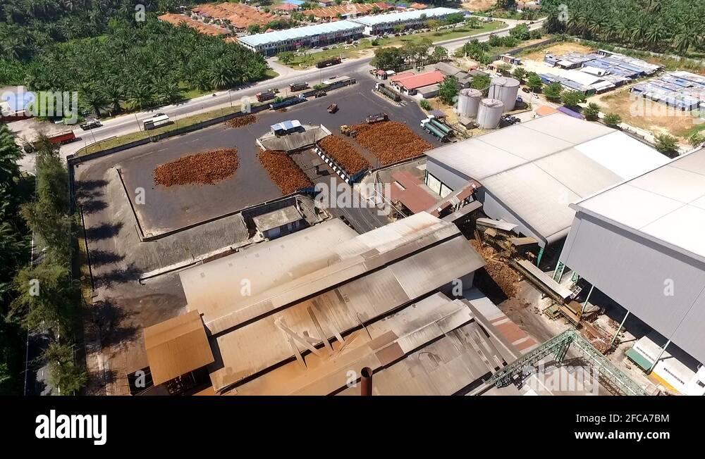 Aerial - Malaysia's Palm Oil Factory (Kilang Kelapa Sawit Stock Video ...