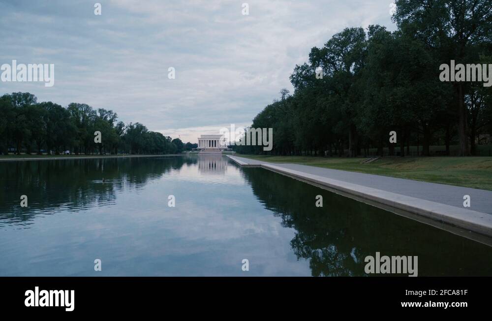 Reflection pool ducks Stock Videos & Footage - HD and 4K Video Clips ...