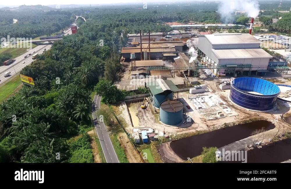 Aerial - Malaysia's Palm Oil Factory (Kilang Kelapa Sawit Stock Video ...