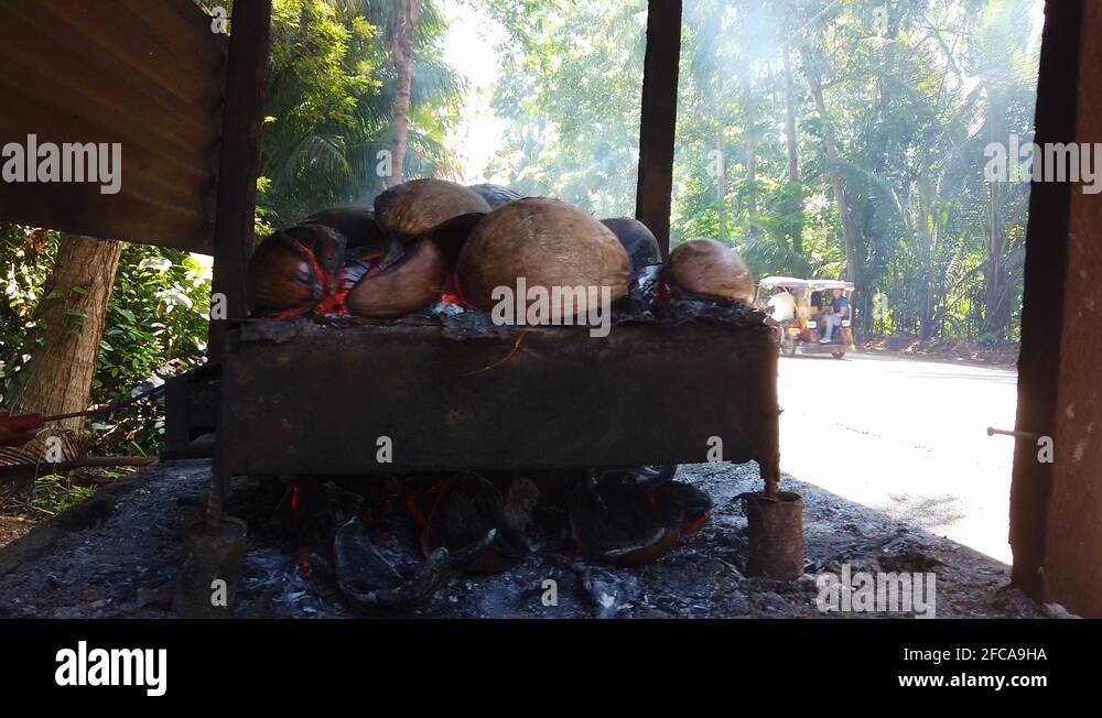 Coconut palms roof Stock Videos & Footage - HD and 4K Video Clips - Alamy