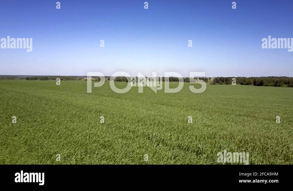Green field trees clear sky clear sky Stock Videos & Footage - HD and ...
