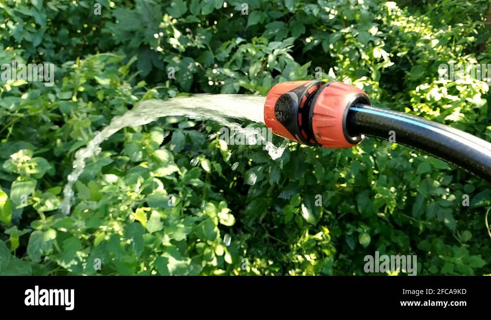 Water hose spraying on garden Stock Videos & Footage - HD and 4K Video ...
