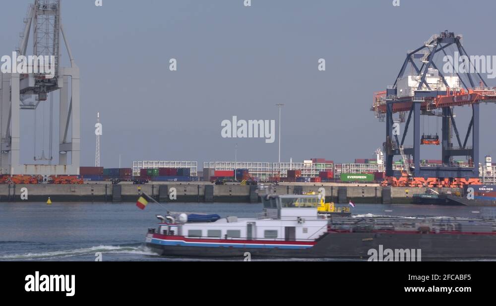 Cargo flow Stock Videos & Footage - HD and 4K Video Clips - Alamy