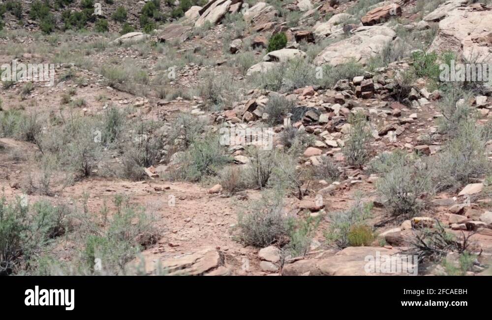 Rubble stone houses Stock Videos & Footage - HD and 4K Video Clips - Alamy