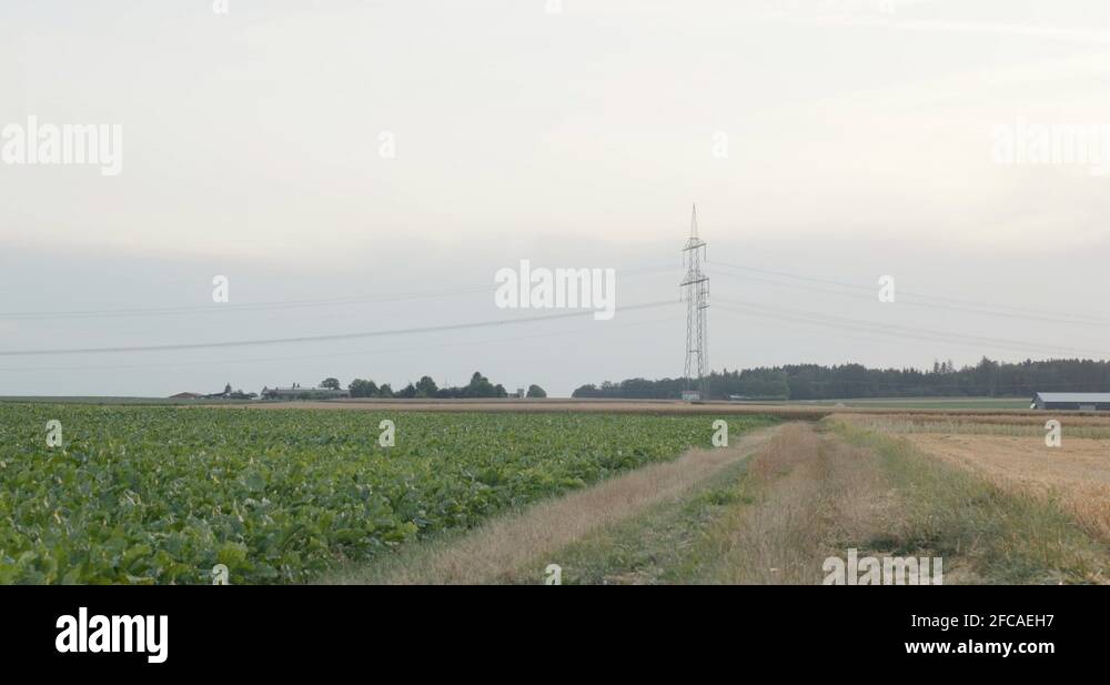 Typical countryside view Stock Videos & Footage - HD and 4K Video Clips ...