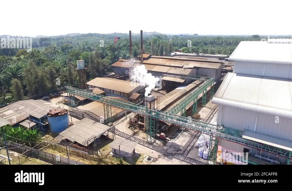 Aerial - Malaysia's Palm Oil Factory (Kilang Kelapa Sawit Stock Video ...