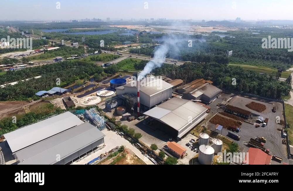 Palm oil factory Stock Videos & Footage - HD and 4K Video Clips - Alamy
