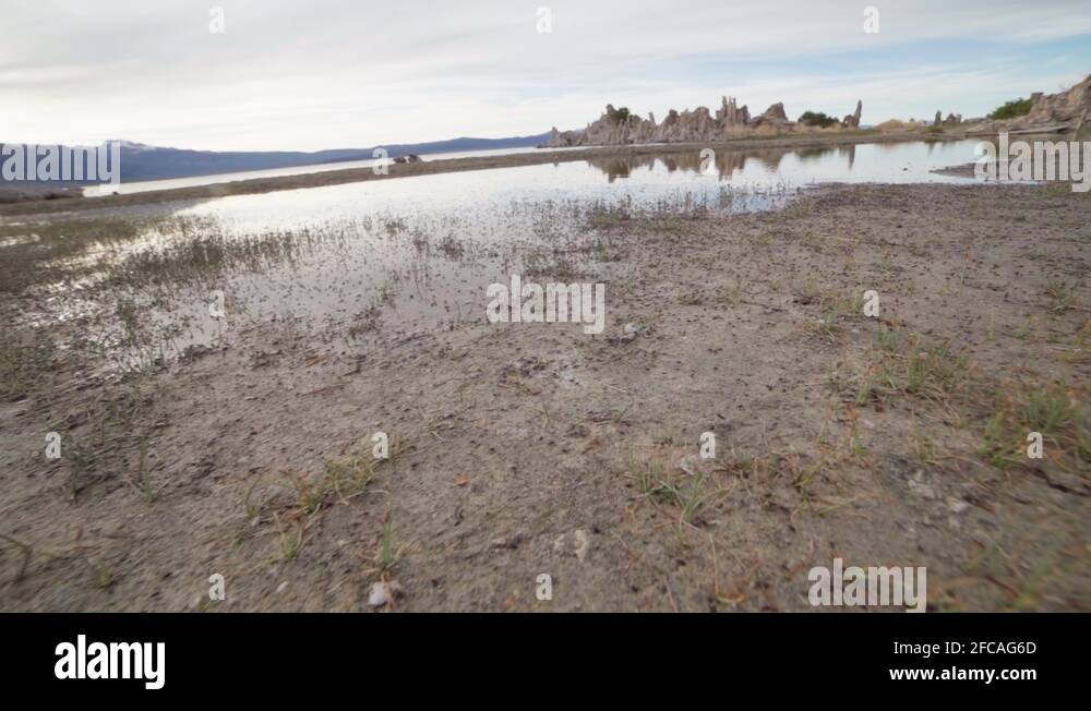 State mono Stock Videos & Footage - HD and 4K Video Clips - Alamy