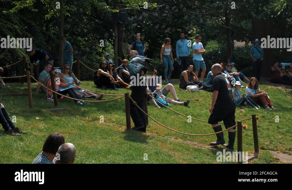 Zoo staff Stock Videos & Footage - HD and 4K Video Clips - Alamy