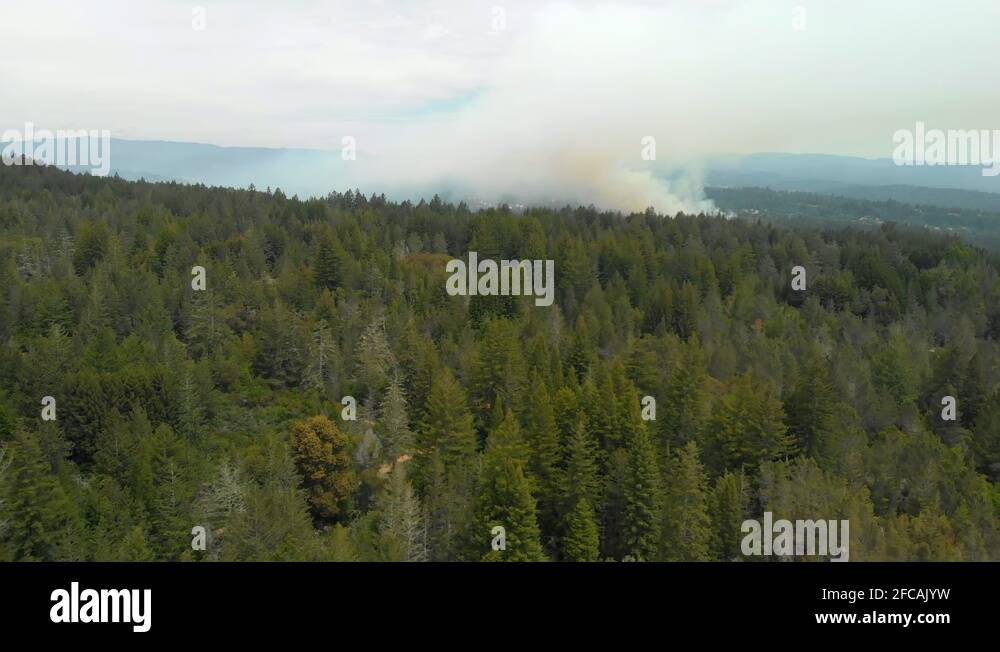 Smoke from forest fire Stock Videos & Footage - HD and 4K Video Clips ...
