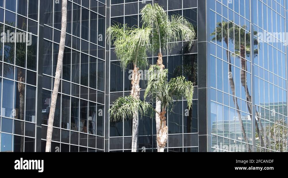 Trees in high rise building Stock Videos & Footage - HD and 4K Video ...
