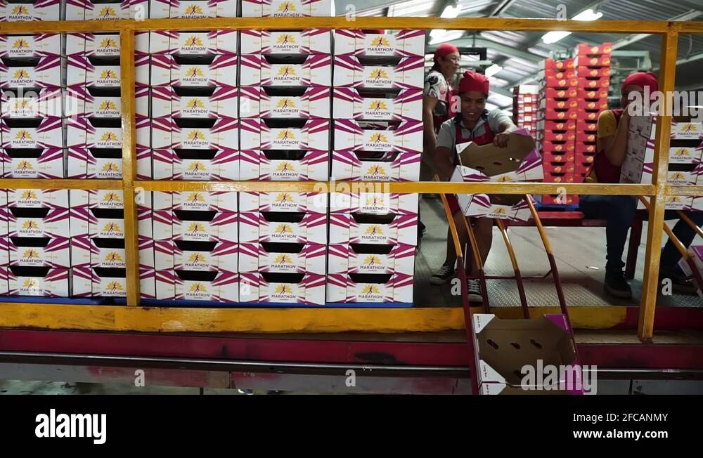 Mango box Stock Videos & Footage - HD and 4K Video Clips - Alamy