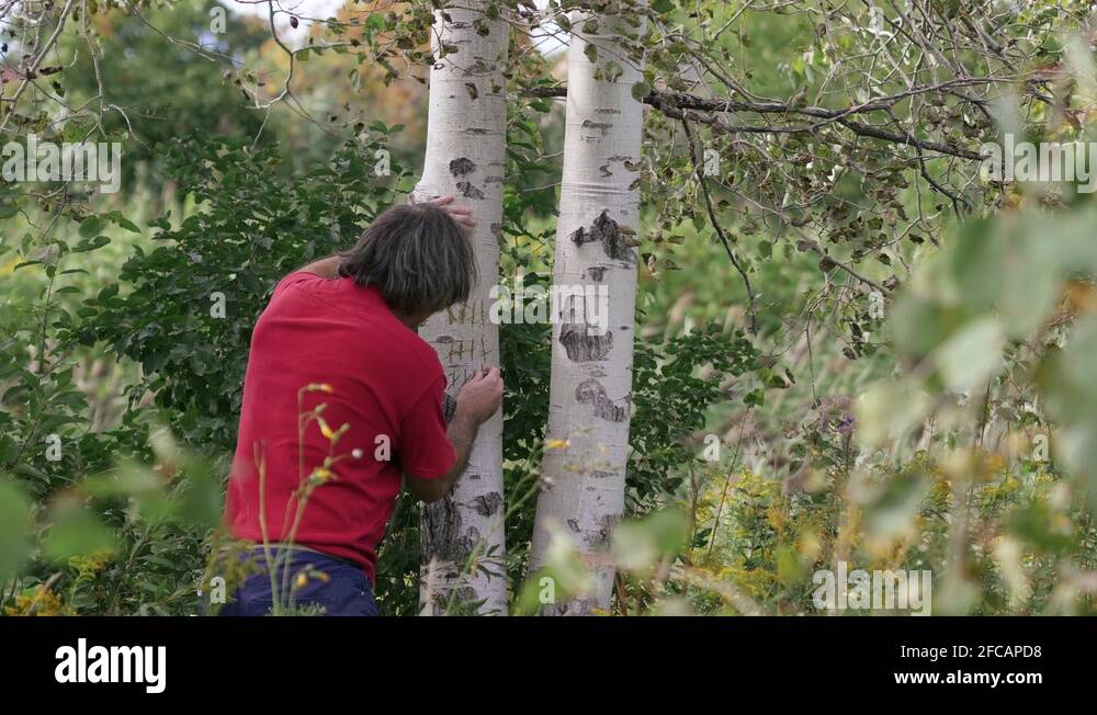 Lost man Stock Videos & Footage - HD and 4K Video Clips - Alamy