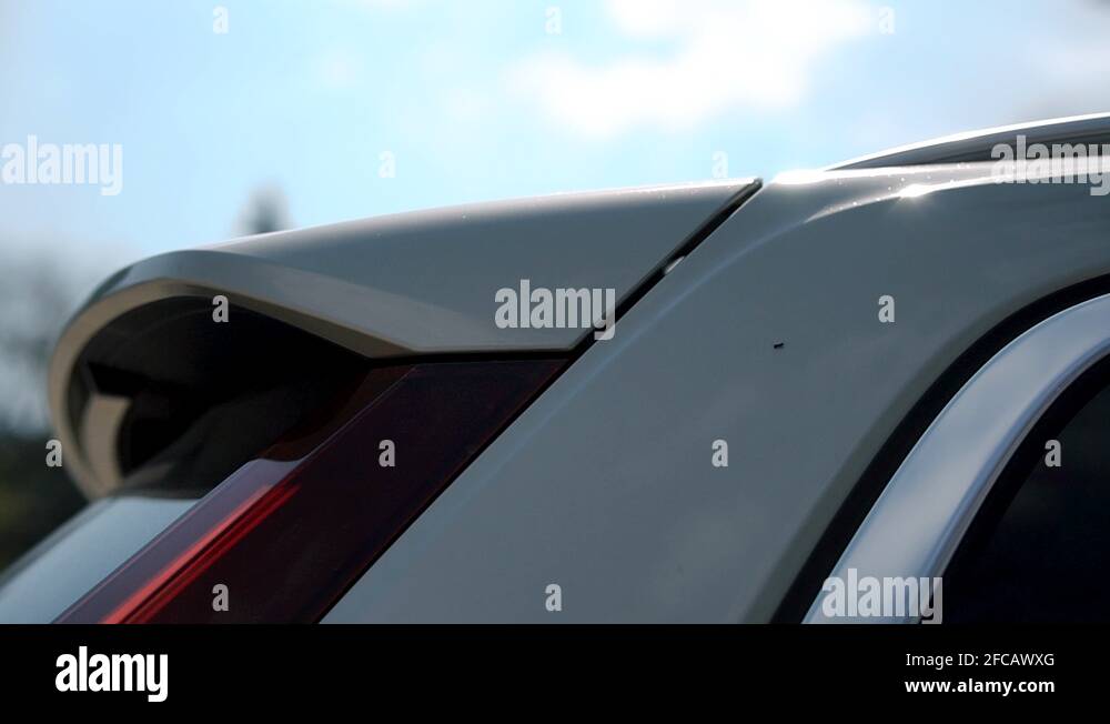 Exterior rear part of a brand new luxury modern car. Back lights of an ...