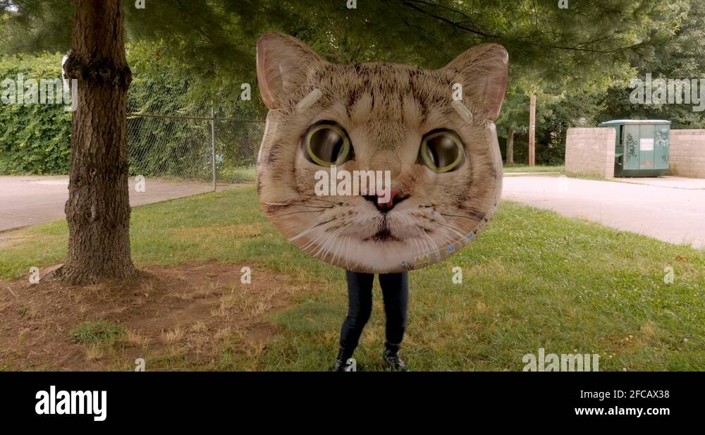 Giant dancing Stock Videos & Footage - HD and 4K Video Clips - Alamy