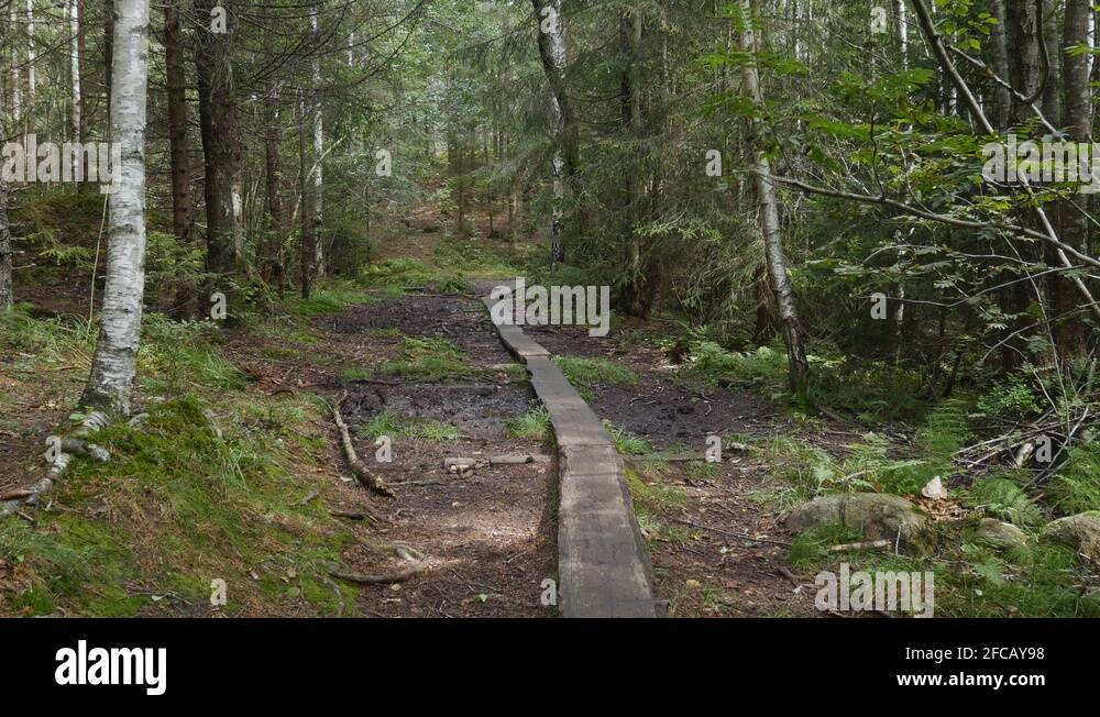 Path cutting Stock Videos & Footage - HD and 4K Video Clips - Alamy