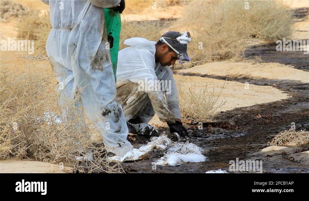 Desert cleanup Stock Videos & Footage - HD and 4K Video Clips - Alamy