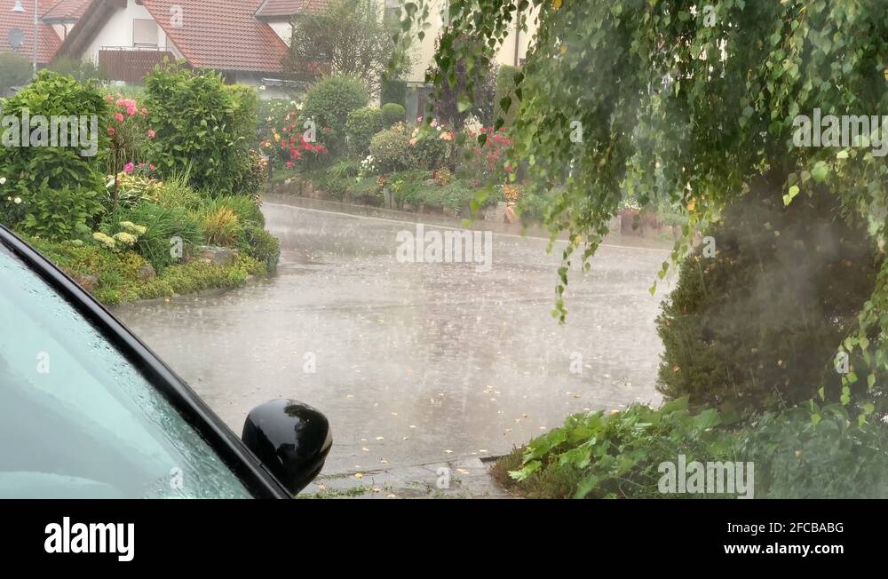 Pouring rain rainfall Stock Videos & Footage - HD and 4K Video Clips ...