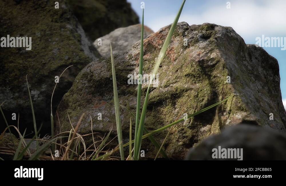 Ground shot Stock Videos & Footage - HD and 4K Video Clips - Alamy