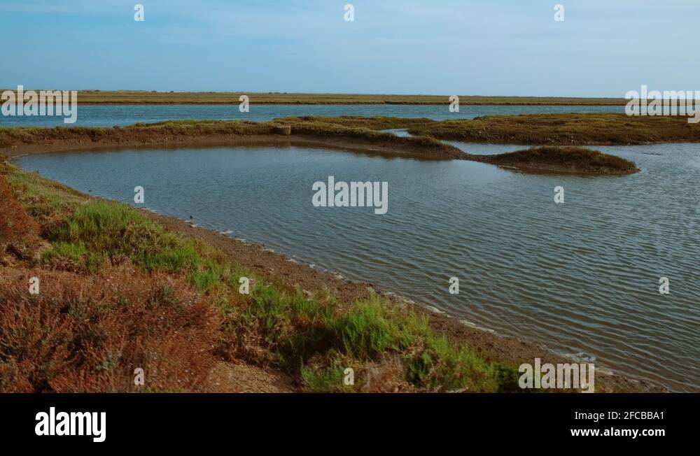 The ria formosa lagoon Stock Videos & Footage - HD and 4K Video Clips ...
