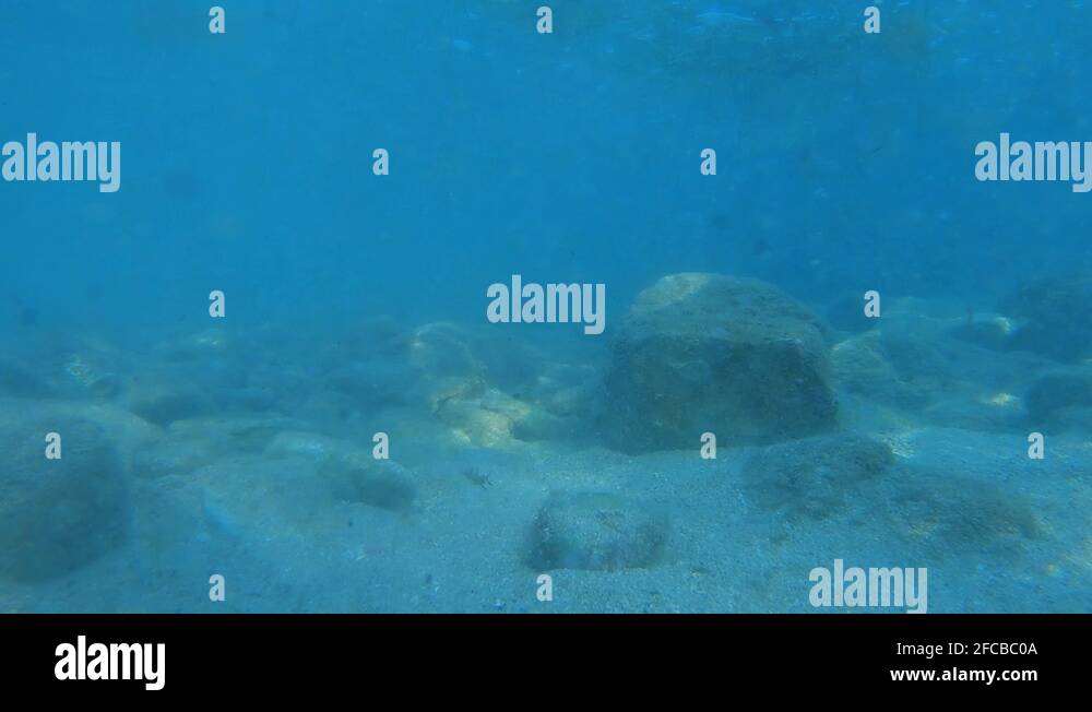 Underwater sand fall Stock Videos & Footage - HD and 4K Video Clips - Alamy