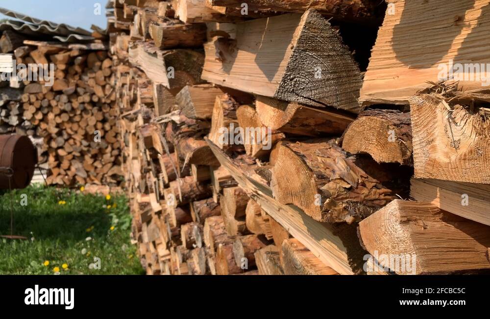 Cross section of wood grain Stock Videos & Footage - HD and 4K Video ...