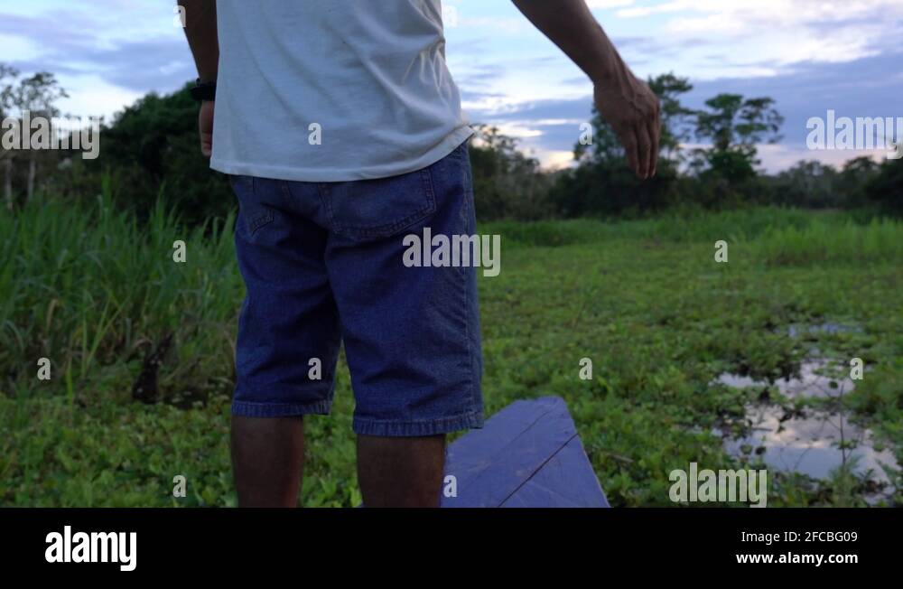 Man swatting bugs Stock Videos & Footage - HD and 4K Video Clips - Alamy