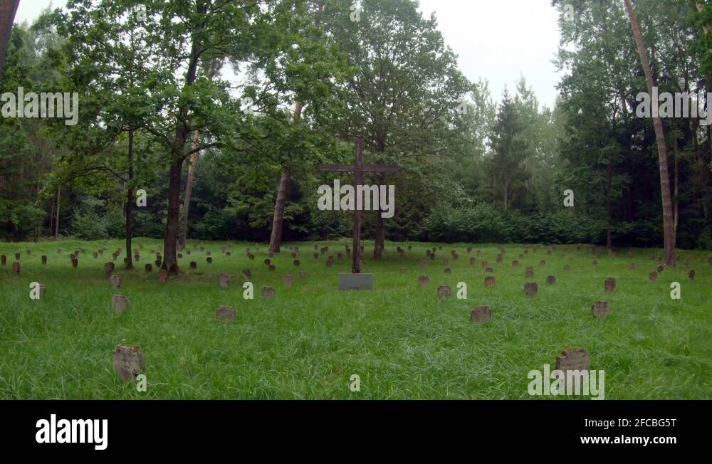 WWI German Soldiers And Victims Cemetery In The Forest. Moving Forward ...