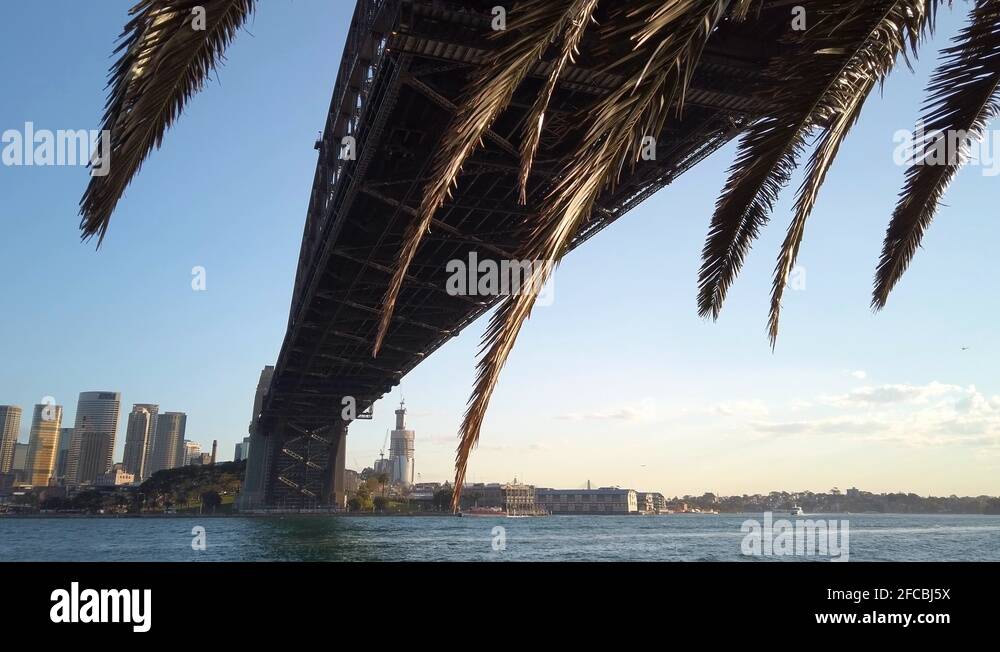 Luna tree Stock Videos & Footage - HD and 4K Video Clips - Alamy