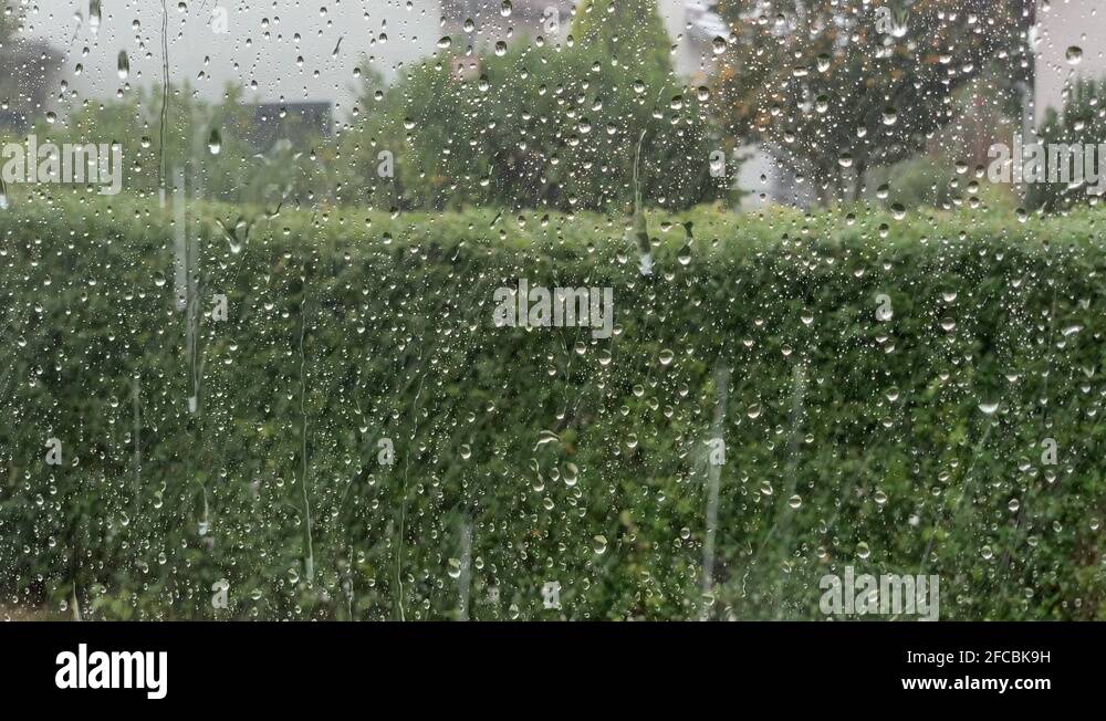 Hedge window Stock Videos & Footage - HD and 4K Video Clips - Alamy
