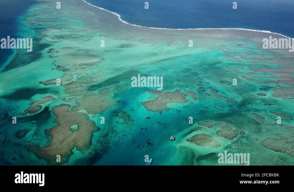 On cloud 9 Stock Videos & Footage - HD and 4K Video Clips - Alamy