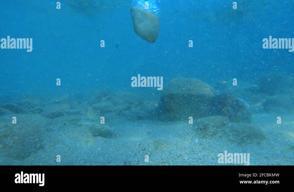 Beach underwater Stock Videos & Footage - HD and 4K Video Clips - Alamy