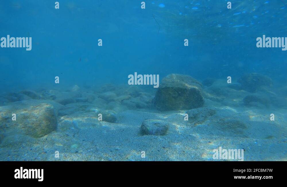 Underwater sand falls Stock Videos & Footage - HD and 4K Video Clips ...