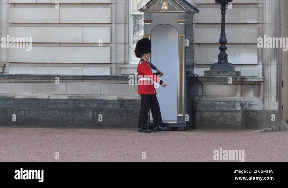 Ceremonial rifle guard Stock Videos & Footage - HD and 4K Video Clips - Alamy